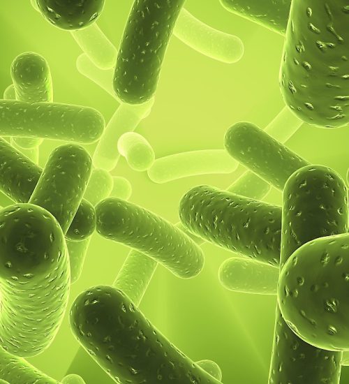 Air Purification for Life Sciences - LifeAire Systems